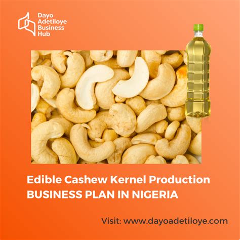 Edible Cashew Kernel Production Business Plan In Nigeria