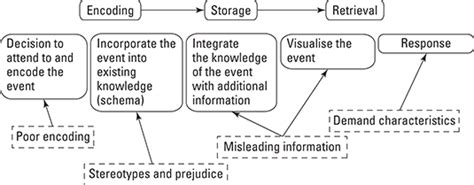 Cognitive Psychologys Information Processing Model Dummies