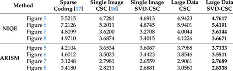 Objective Evaluation For Retinex Algorithm 11× 11× 100 Filters