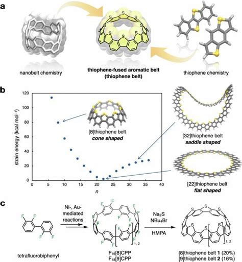 Thiophene Fused Aromatic Belts Lifeboat News The Blog