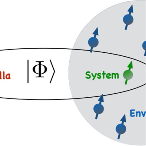 Schematic Diagram Of System Qubit And Ancilla Qubit Sharing A