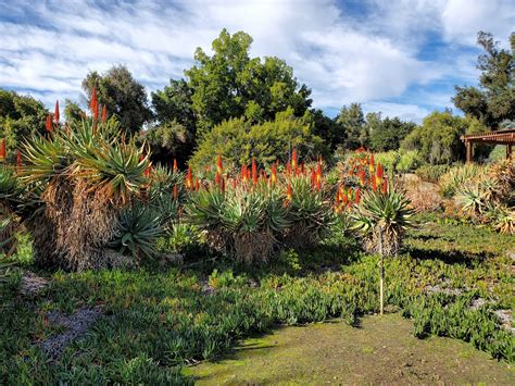 Los Angeles Arboretum A Haven Of Nature And Tranquility Arcadia