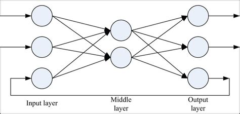 Feedback Forward Network Structure Download Scientific Diagram