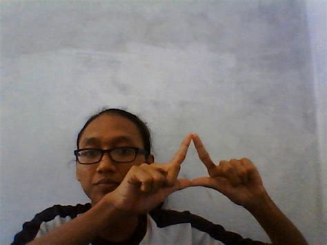 Bisindo Recognition Object Detection Dataset By College