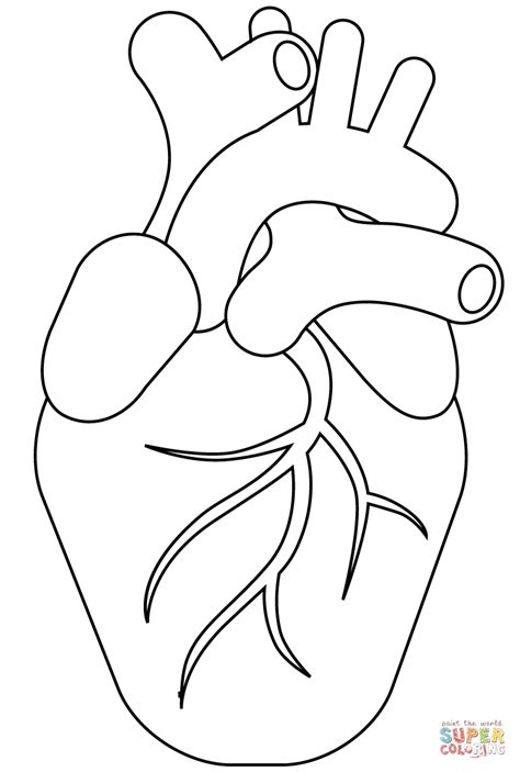 Dibujo De Corazón Humano Para Colorear Dibujos Para Colorear Imprimir