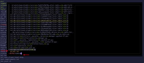 Vim插件合集 （打造你的专属炫酷ide） 知乎