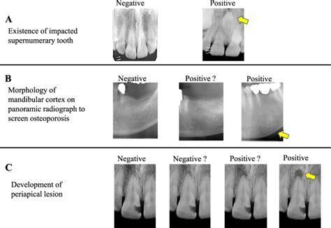 Examples Objectives For Classification Task Download Scientific Diagram