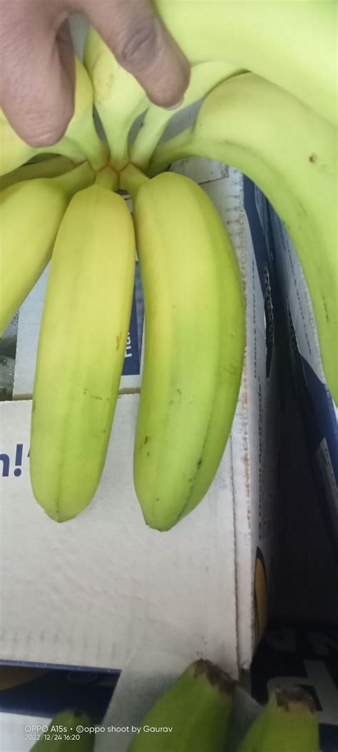 Banana Model Object Detection Dataset By Banana