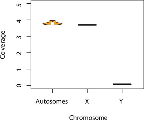 Coverage On Sex Chromosomes And Autosomes Average Coverage By Shotgun Download Scientific