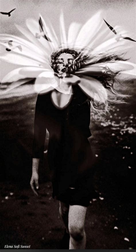 Oltre Elena Sofi Sunset Art