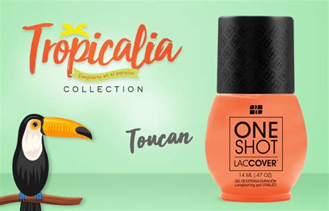 Toucan