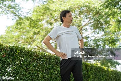 웰빙 및 피트니스 건강과 활력을 위해 야외에서 스트레칭하는 노인 Fresh Air Fund에 대한 스톡 사진 및 기타 이미지 Fresh Air Fund Mental