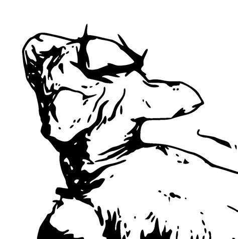 Cyanotype Prints Rcyanotypes