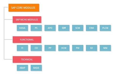 Sap Core Modules Explained