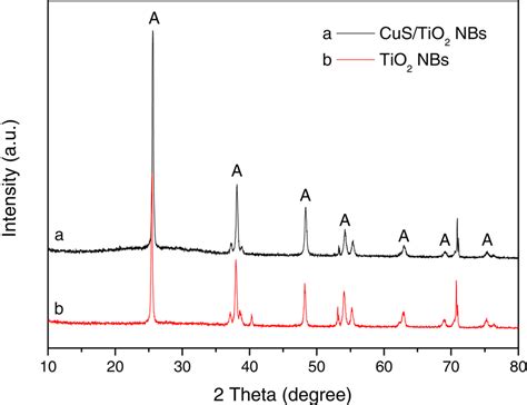 Xrd Patterns Of Cus Tio2 Nbs And Tio2 Nbs Download Scientific Diagram