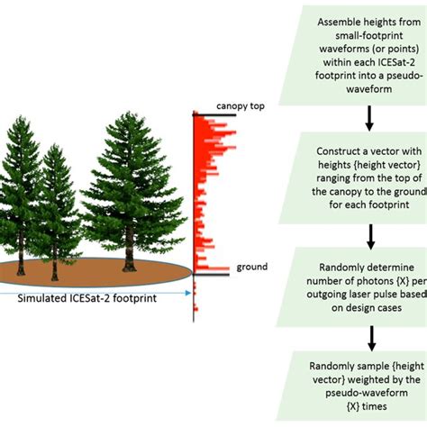 Flow Chart Illustrating How The Small Footprint Lidar Data Are Combined