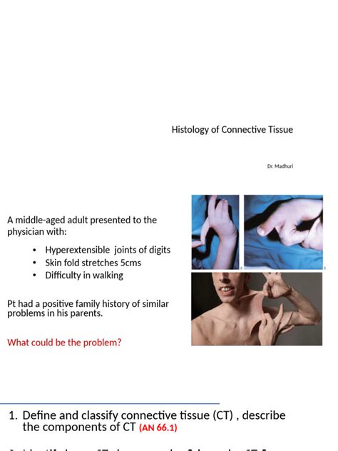 Histology Of Connective Tissue Pdf Connective Tissue