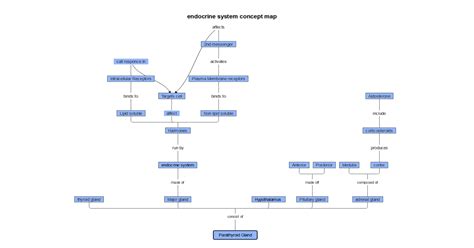 Endocrine System Concept Map Template EdrawMind