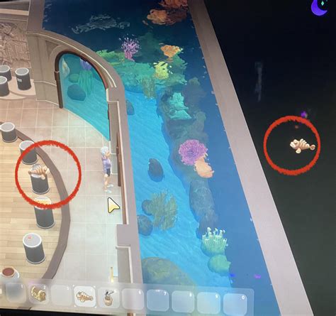 These Mudskippers Have Land Sea And Air Capabilities Rcoralisland