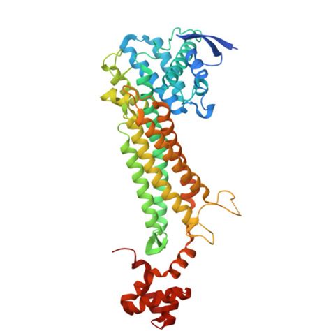 Rcsb Pdb 3e04 Crystal Structure Of Human Fumarate Hydratase