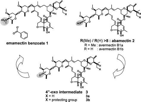 Bio Synthetic Conversion Of Abamectin To Emamectin Benzoate Download Scientific Diagram