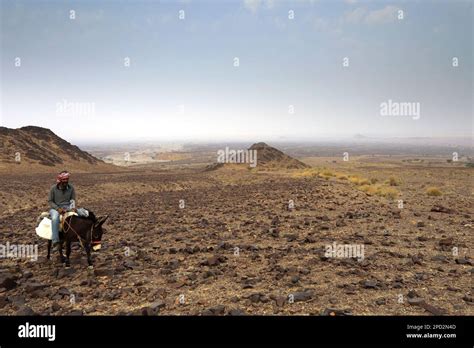 Traditional Bedouin Shepherd In Wadi Barwas Wadi Araba Desert South Central Jordan Middle