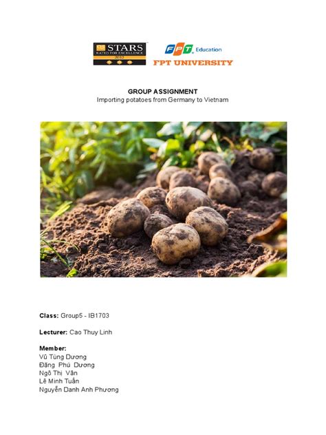 Group Assegement Iei Team 5 Ib1703 Pdf Cargo Port