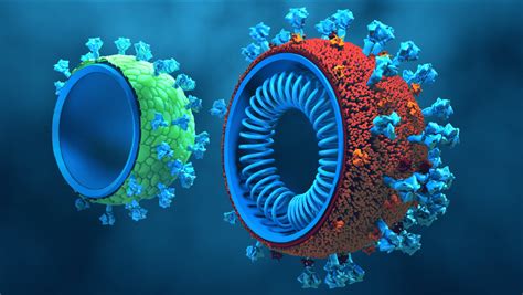 How Does Microfluidizer Technology Support Vaccine Development Faq