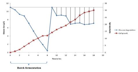 Fed Batch Fermentation Supplied With Dextrose Monohydrate At 40 Doc Download Scientific