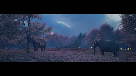 Kumar Sayan Barui Jungle