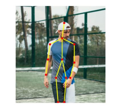 Python OpenCV OpenPose实现人体姿态估计人体关键点检测 阿里云开发者社区