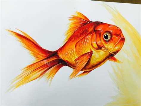 개체연습에 있는 이화님의 핀 물고기 예술 금붕어 물고기 그림