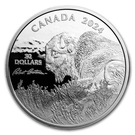 2024 Rcm 2 Oz Silver 30 Robert Bateman Weather Watch Bison