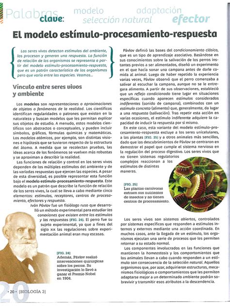 Modelo Estímulo Procesamiento Y Respuesta Pdf