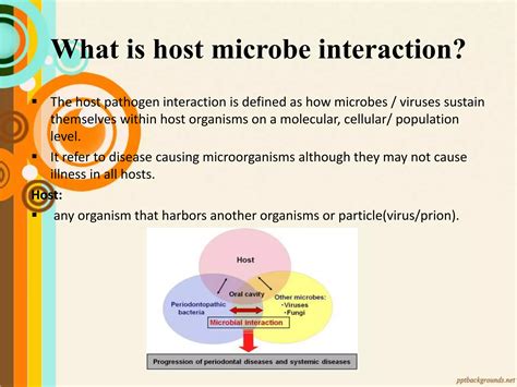Host Microbe Interaction Pptx