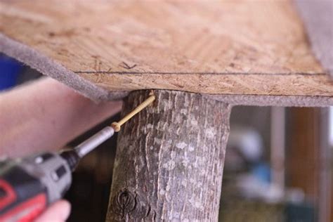 Build A Cat Tree Using Real Tree Branches Cat Tree Cat Tree Designs Cat Trees Diy Easy