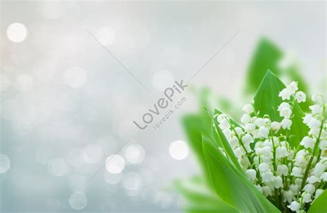복사 공간이 있는 파란색 보케 배너 사진 무료 다운로드 Lovepik