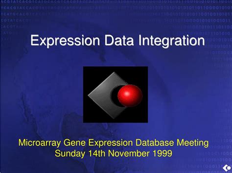 Ppt Expression Data Integration Powerpoint Presentation Free