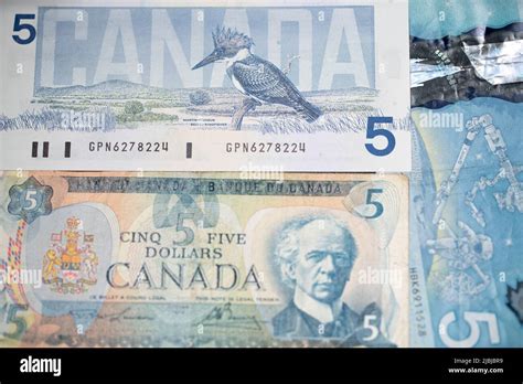Toronto Canada October 30 2021 Beautiful Canadian Dollar Banknotes