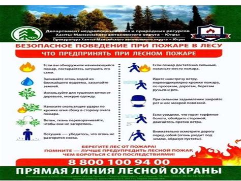 Лесные пожары - презентация онлайн
