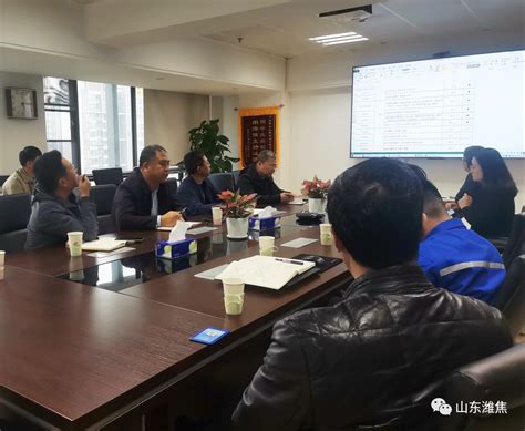 薛城能源公司总经理杨明正带队考察粗苯加氢项目设计进度及下游配套产业链 潍焦新闻 山东潍焦集团有限公司