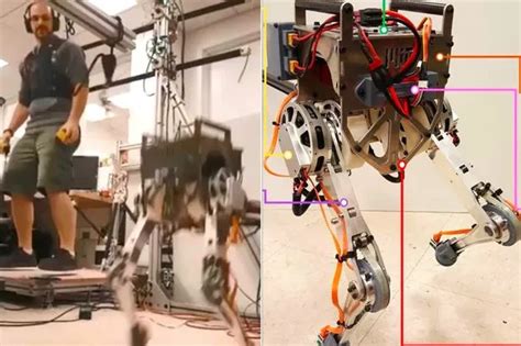 Sex Robots That Breathe Using AI Chest Cavity Set For Release Daily Star