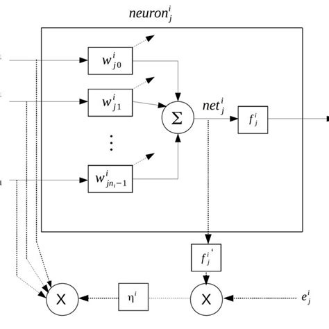 The Back Propagation Algorithm For The Adjustment Of Neuron Weights Download Scientific Diagram