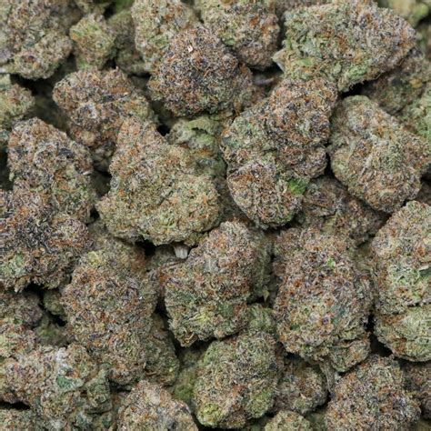 Gelato Runtz Cali Canna