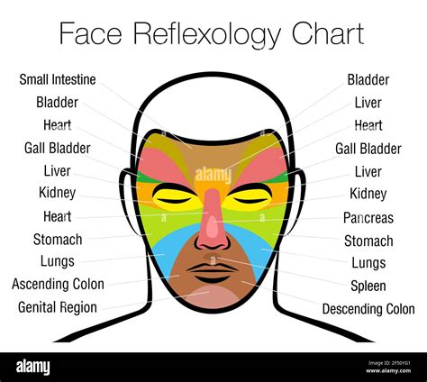 Face Reflexology Map
