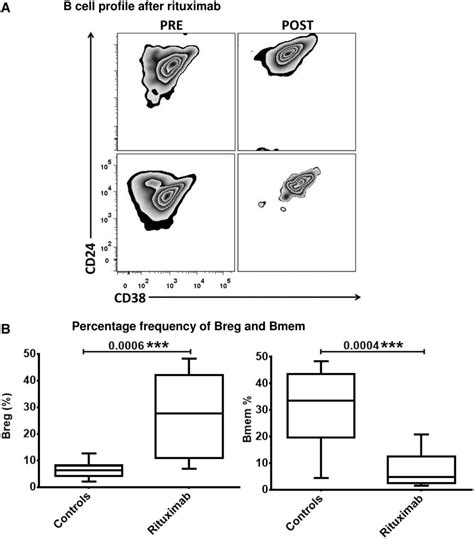 Effects Of Rituximab On B Cell Subsets Download Scientific Diagram