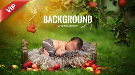 مجموعه فون بک های نوزاد ، ویژه آتلیه عکاسی کدمحصول 6323 مارکت افکت