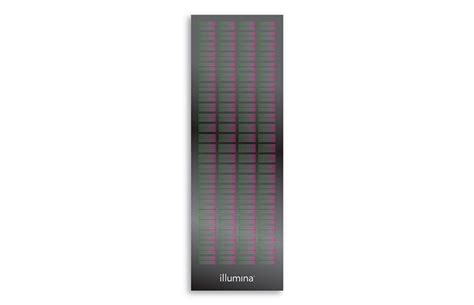 Illumina Microarray Technology