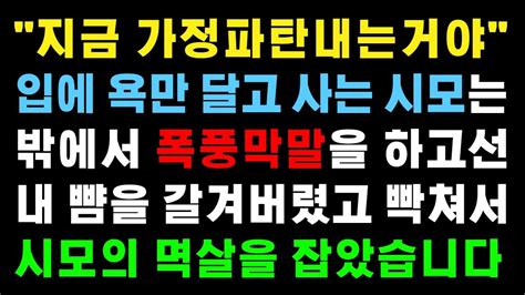 실화사연 입에 욕만 달고 사는 시모는 밖에서 폭풍 막말을 하고선 내 뺨을 갈겨버렸고 전 시모의 멱살을 잡았습니다 라디오