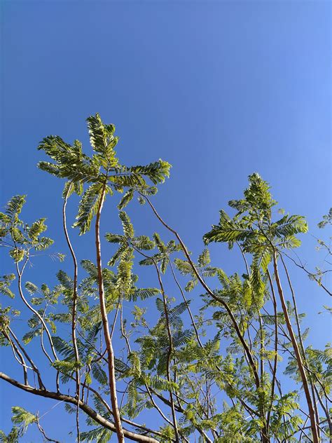 Decision Theory Normative Decision Making Is A Model Of Decision Making Methods Upskilling